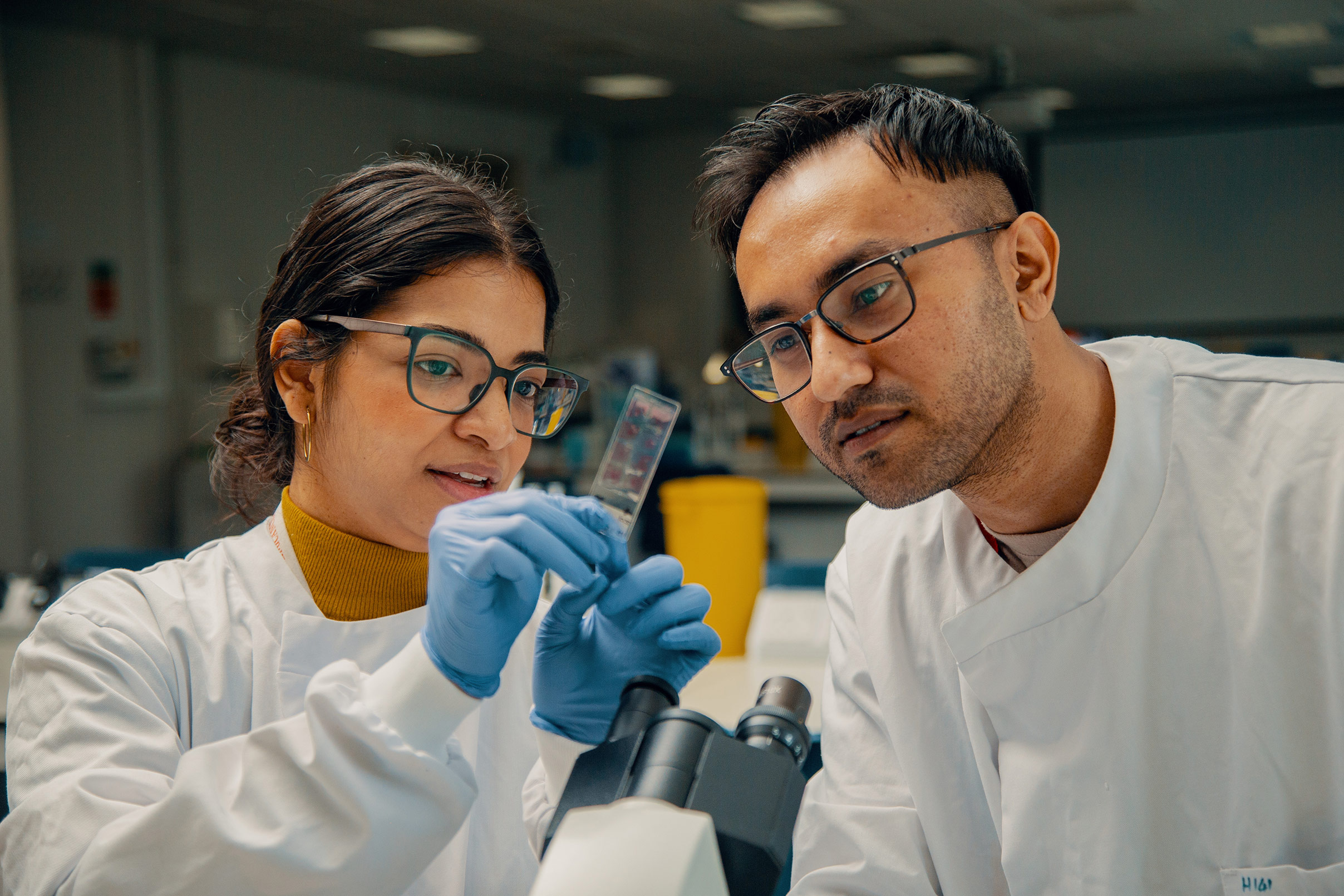 Biomedical Science MSc 2026 | Middlesex University