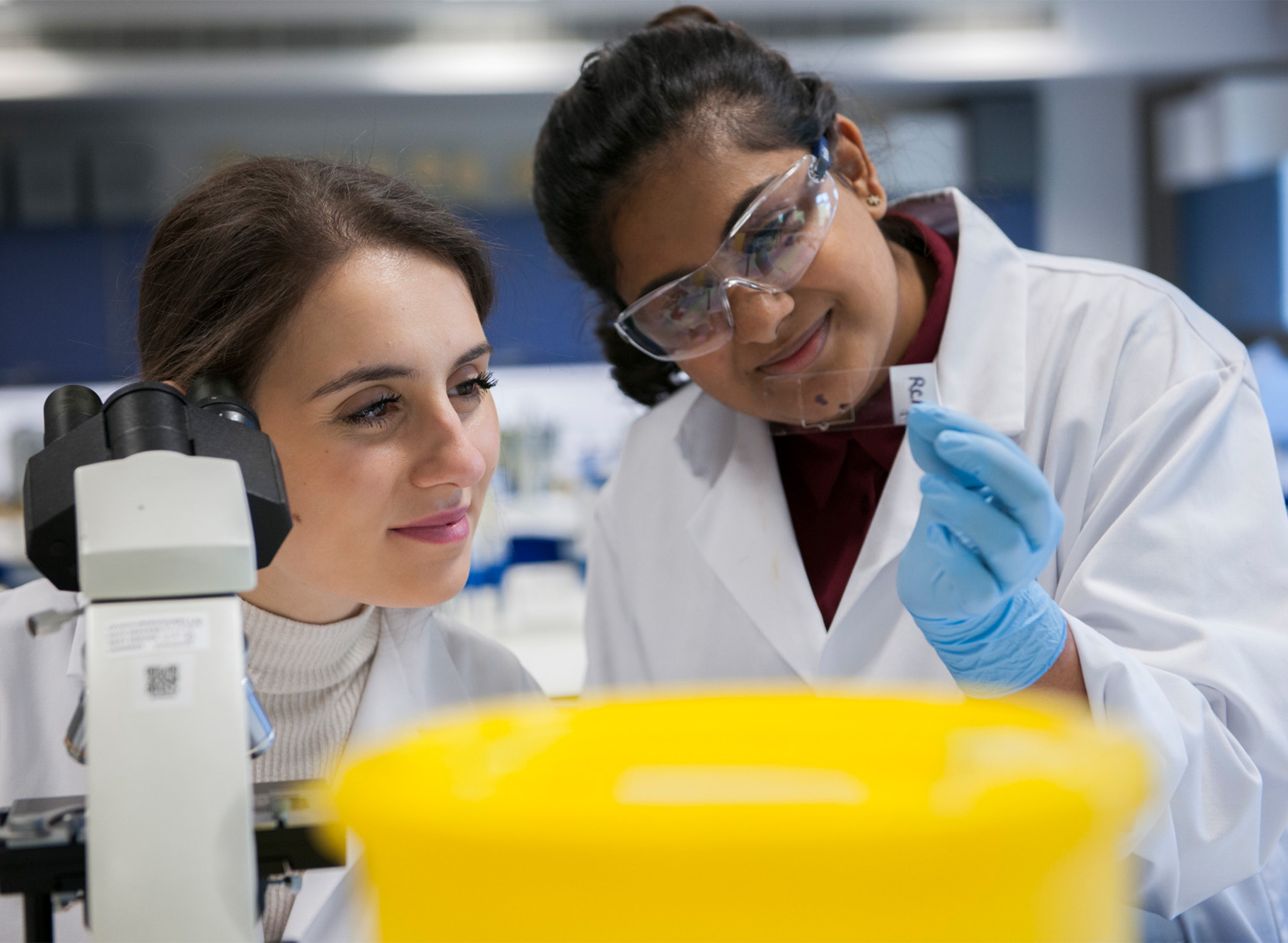 Biomedical Science (Medical Microbiology) MSc 2025 | Middlesex University