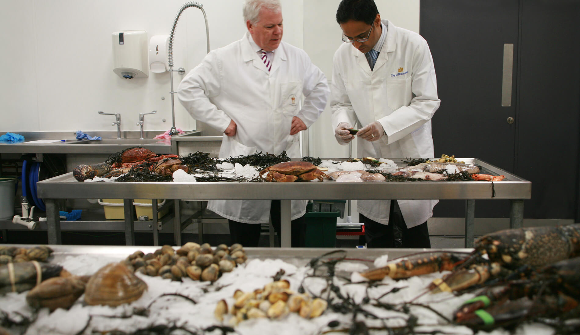 Environmental Health BSc 2026 | Middlesex University